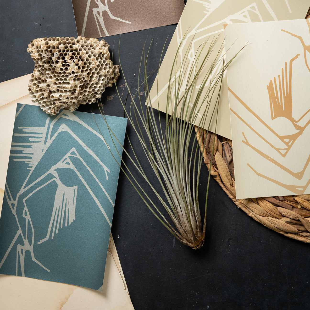 MANTIS | HEIRLOOM – Wendy Martin